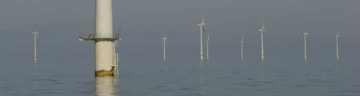 Offshore Wind Farms – in harmony with fish