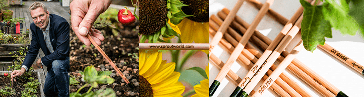 Sprouting pencils a huge success