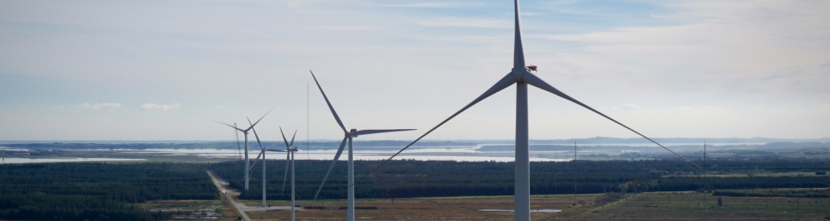 Newsletter from your partner in research