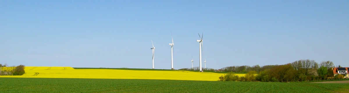 140 per cent of Denmark’s electricity needs covered by wind power