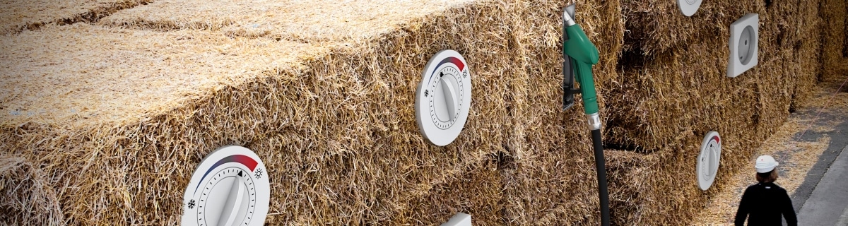 White Paper: From Sustainable Biomass to Competitive Bioenergy