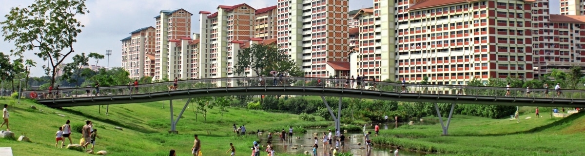Water brings life to Bishan-Ang Mo Kio Park
