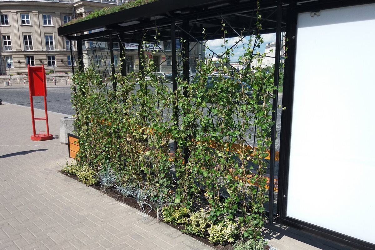 Using Rainwater To Combat Urban Heat island Effect With Green Bus Stops Using Rainwater To Combat Urban Heat island Effect With Green Bus Stops