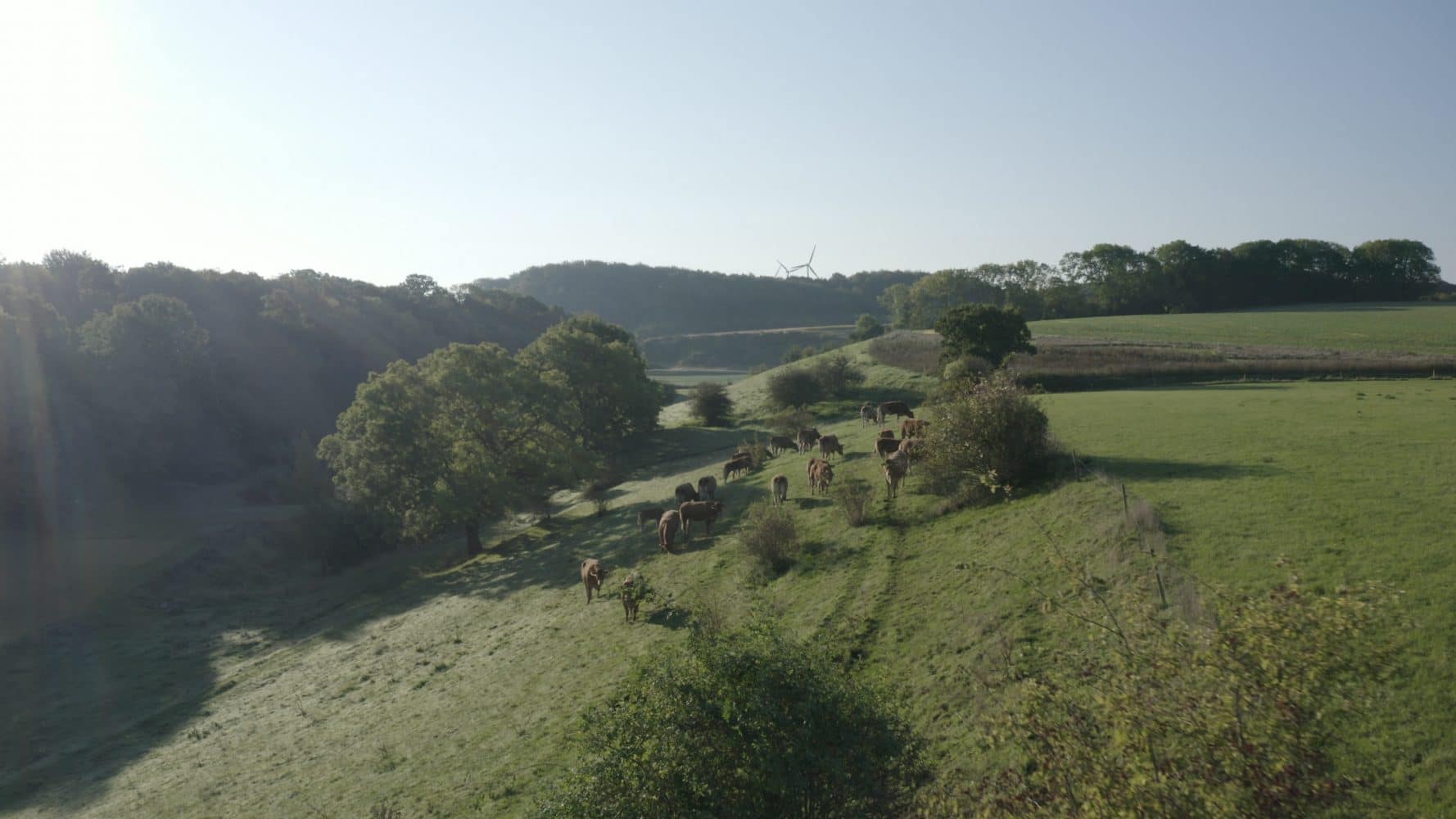 Blockchain enabled 100 per cent traceable leather