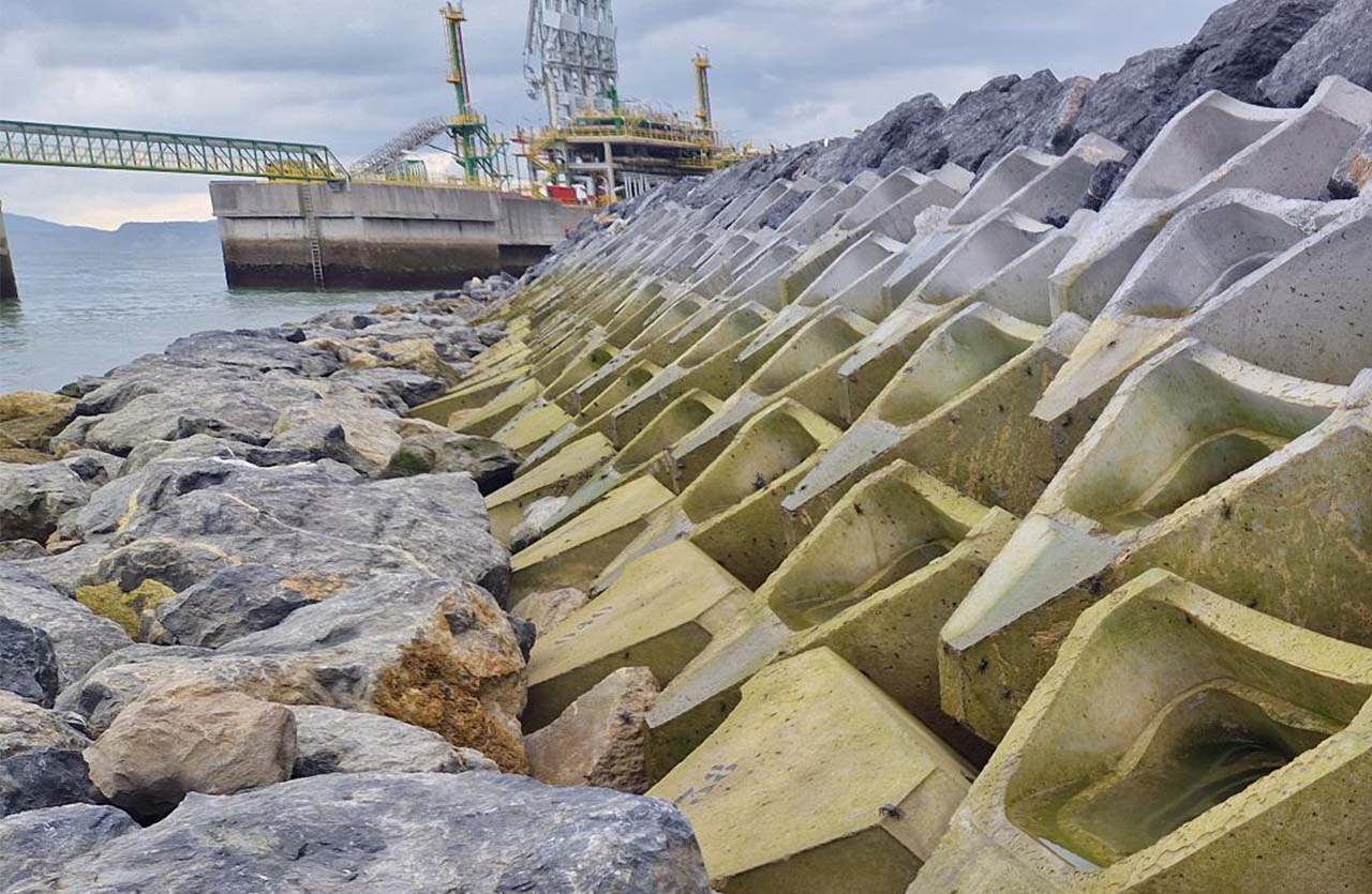 Building Nature-Inclusive Coastal Defense & Ports Infrastructure