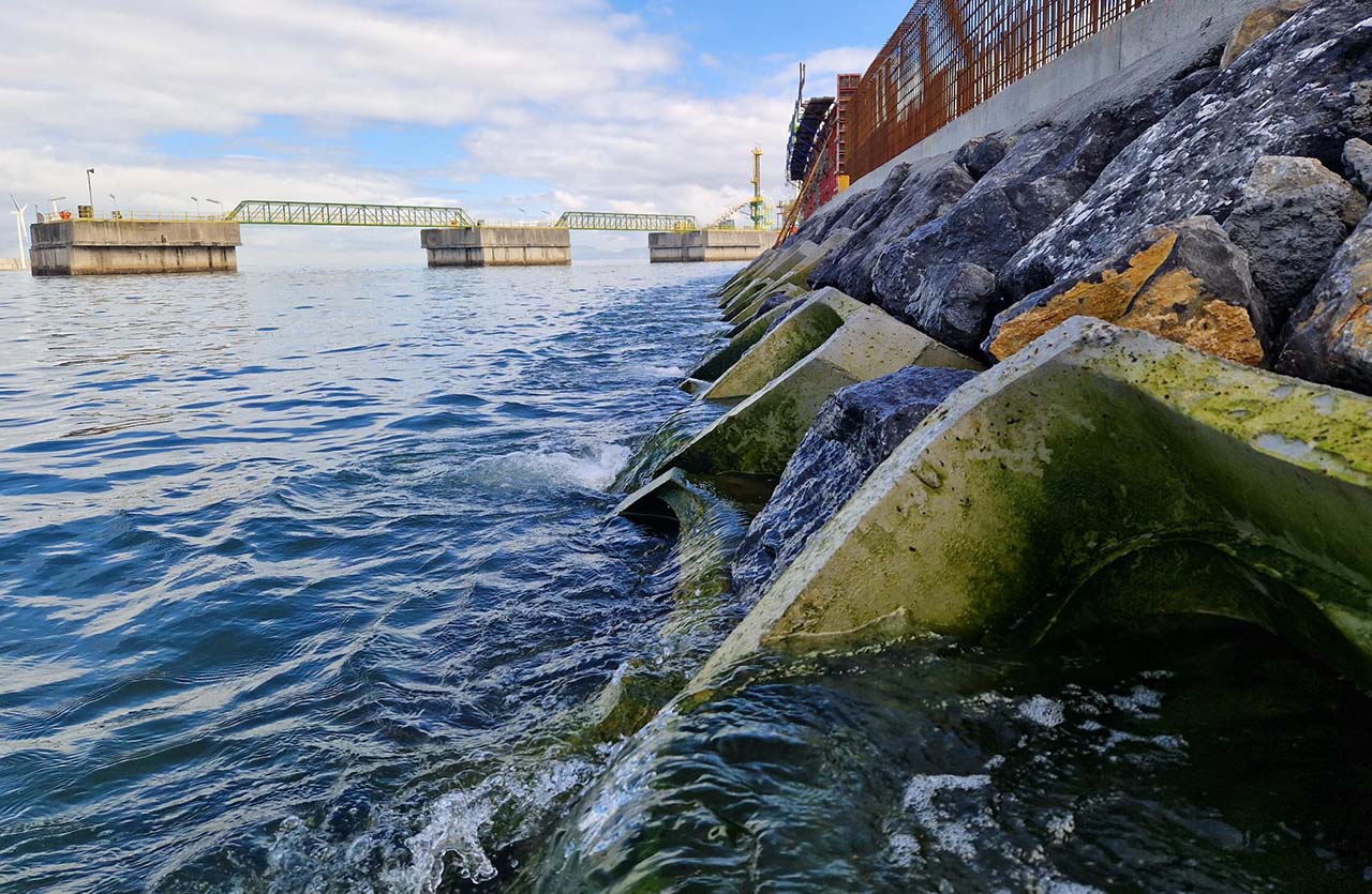 Building Nature-Inclusive Coastal Defense & Ports Infrastructure