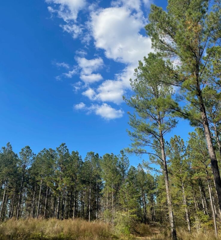 PFA | Connect and explore latest solutions