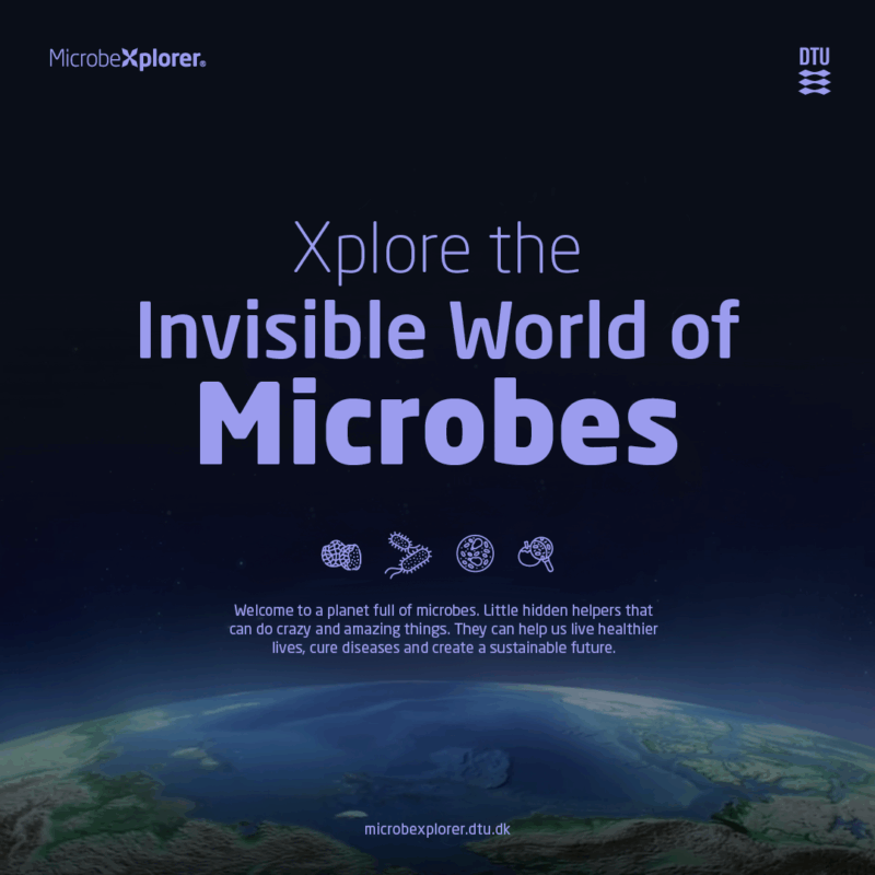 12 Examples of Climate-Resilient City Solutions